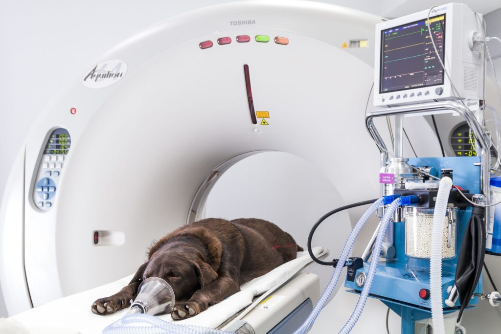 ¿Qué utilidad tiene la Tomografía Computarizada (TC) en la medicina ...